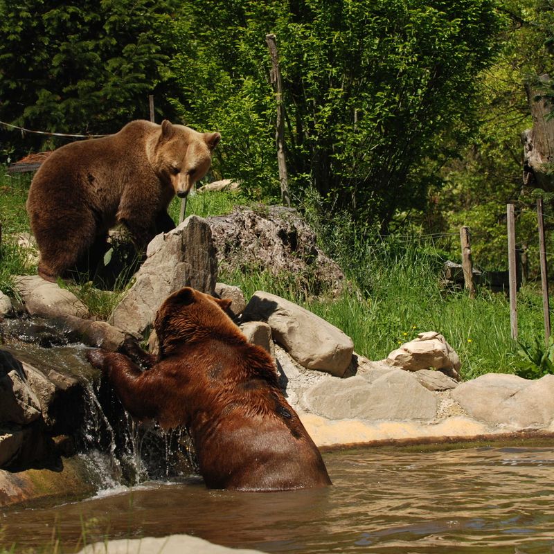 Zoo di Pistoia - Parc zoologique en Toscane, Italie