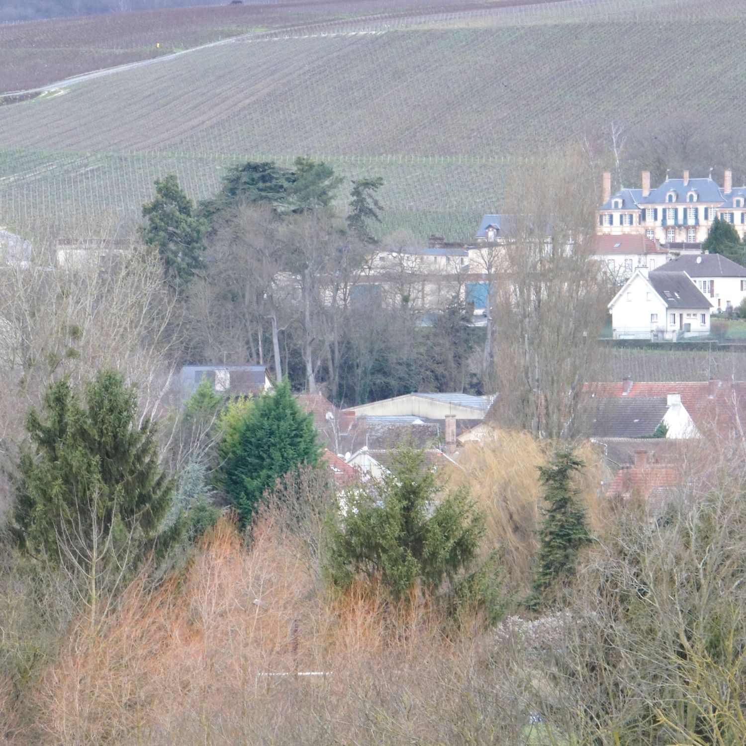 Château de la Marquetterie - Domaine viticole à Pierry, France