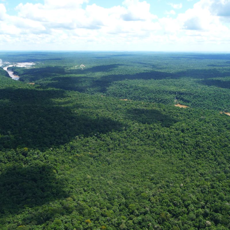 Forêt atlantique - Biome de forêt tropicale sur la côte atlantique du ...