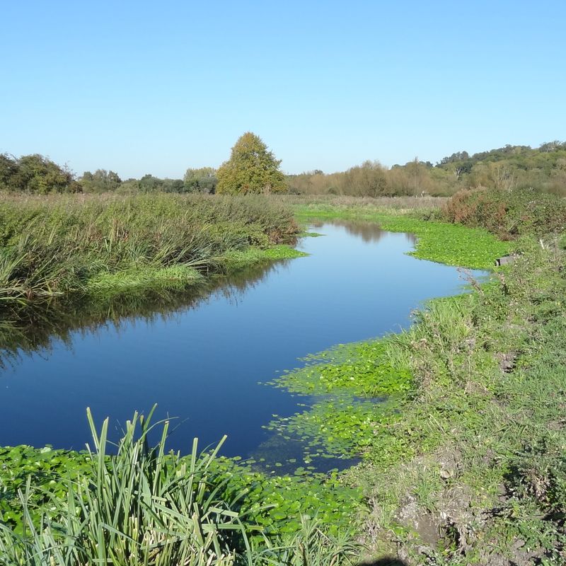 Frays Farm Meadows - Protected meadow in London Borough of Hillingdon ...