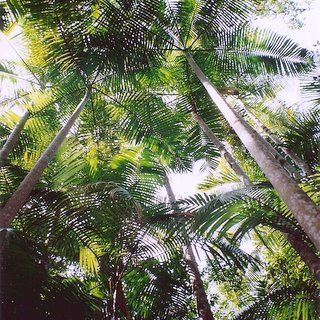 Bago Bluff National Park - National park in Australia