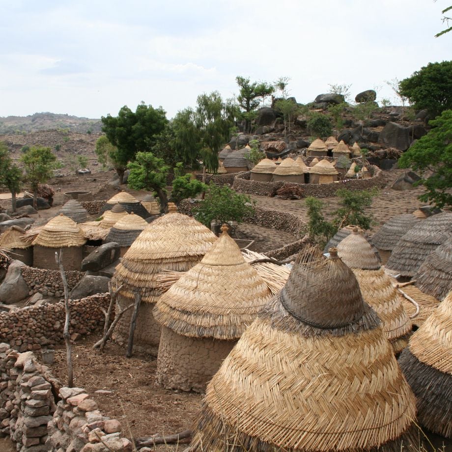 Sambisa Forest - Forest reserve in Borno State, Nigeria