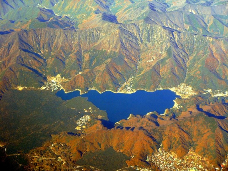 Aokigahara - Forêt près du Mont Fuji, Japon